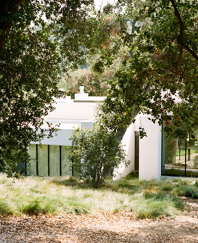 Christine London’s Comprehensive Guide to Landscaping | Jenni Kayne