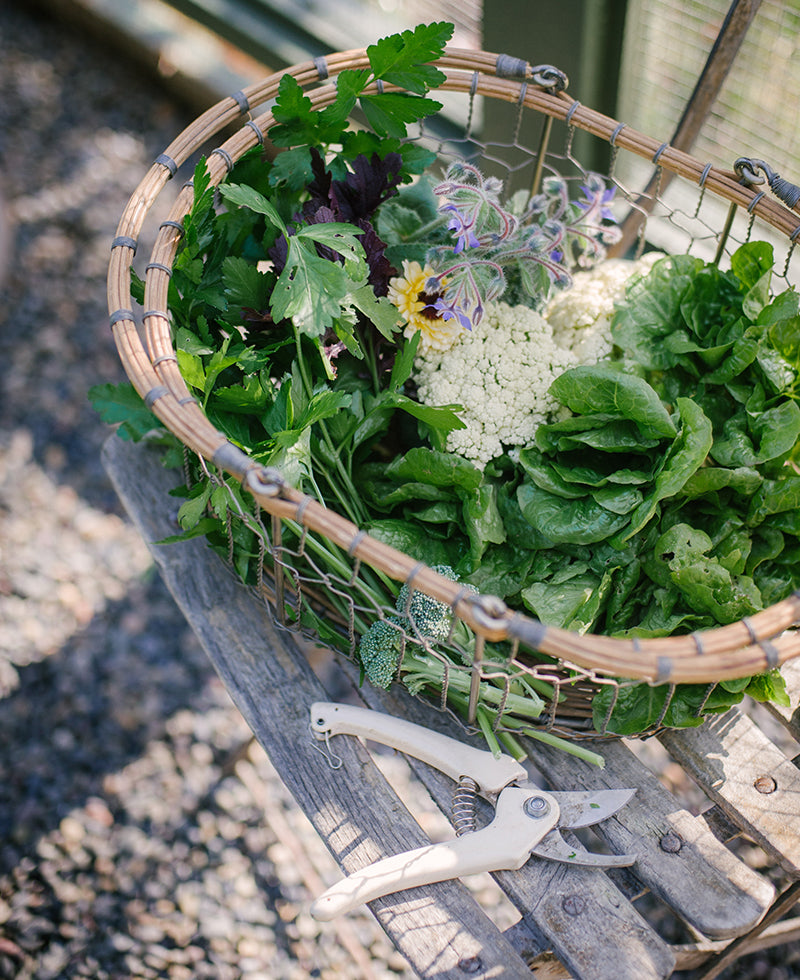 Spring Gardening With Lauri Kranz of Edible Gardens LA | Jenni Kayne